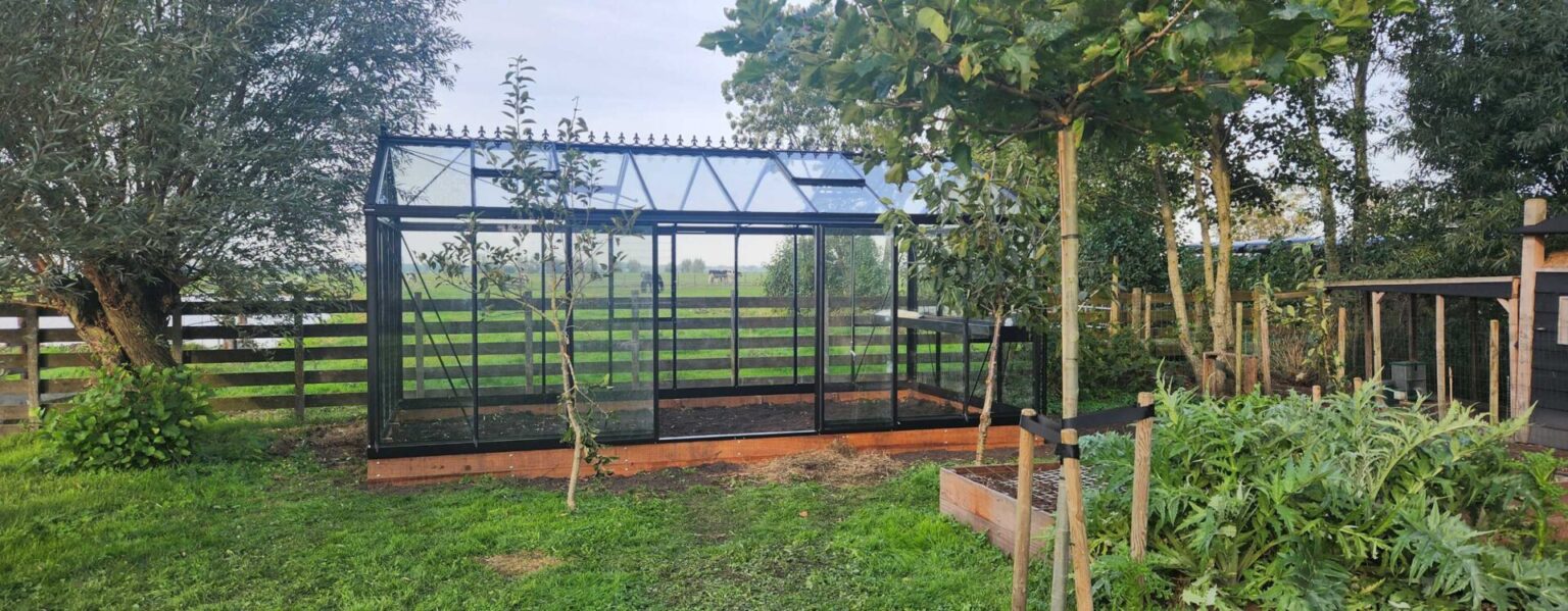 Janssens Hobbykas Helios Master Victorian MV36, afmeting 310 x 606 cm