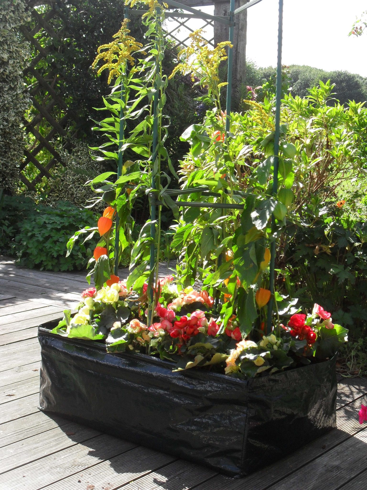 Moestuin voor uw balkon of terras - Buiten-Goed